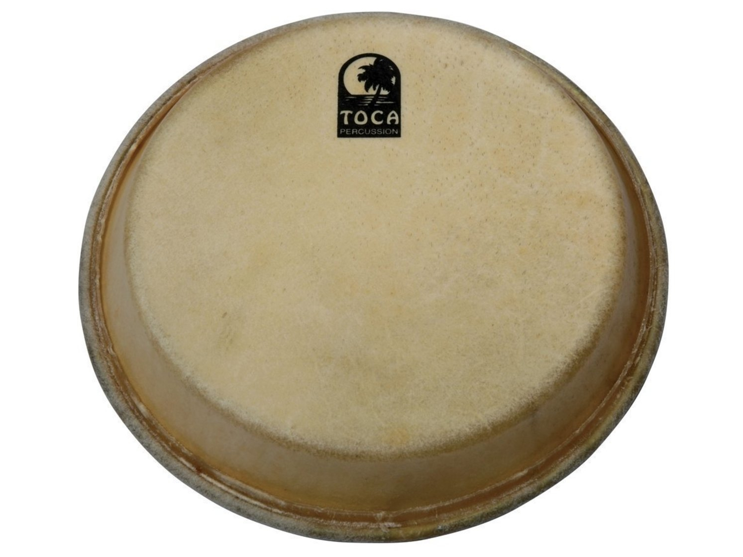 TOCA Pelli Percussioni Traditional Series Conga & Bongo 12 1/2" Conga ...