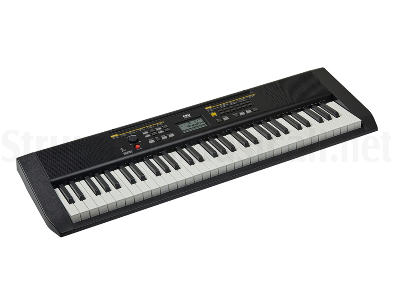 EKO KEYBOARDS Okey 61 | Strumenti Musicali .net