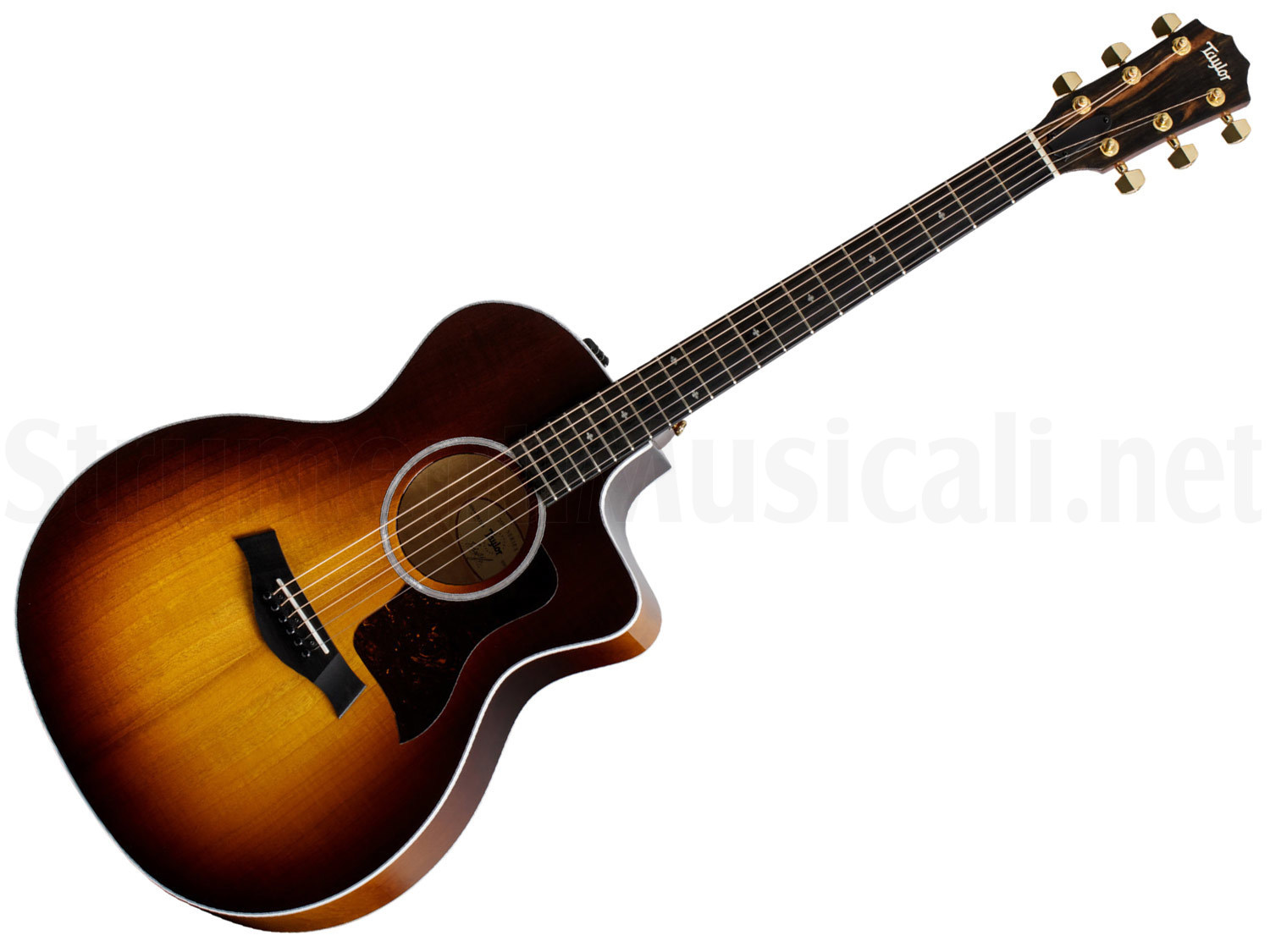 TAYLOR 224ce DLX Urban Ash Limited Edition | Strumenti Musicali .net