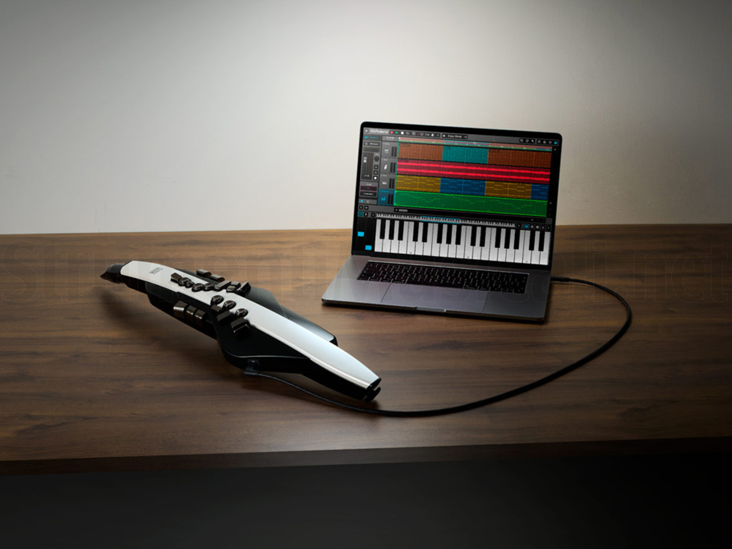 ROLAND AE-20W Aerophone | Strumenti Musicali .net