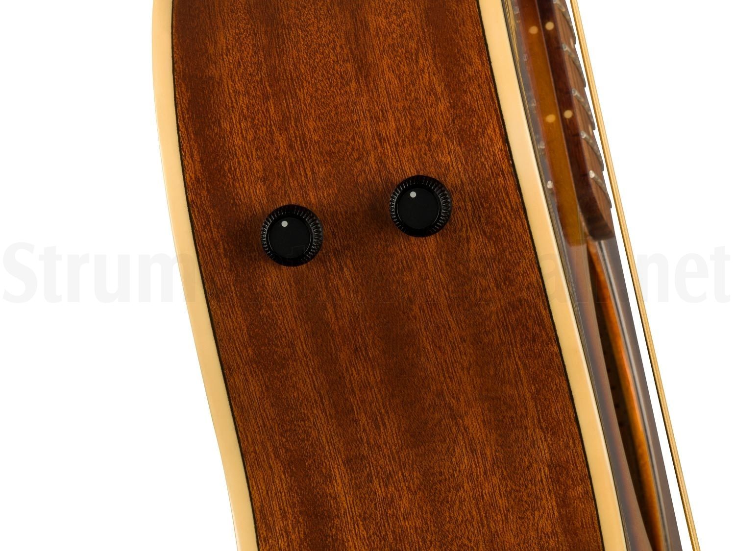 FENDER Newporter Player WN Gold Pickguard Sunburst | Strumenti Musicali ...