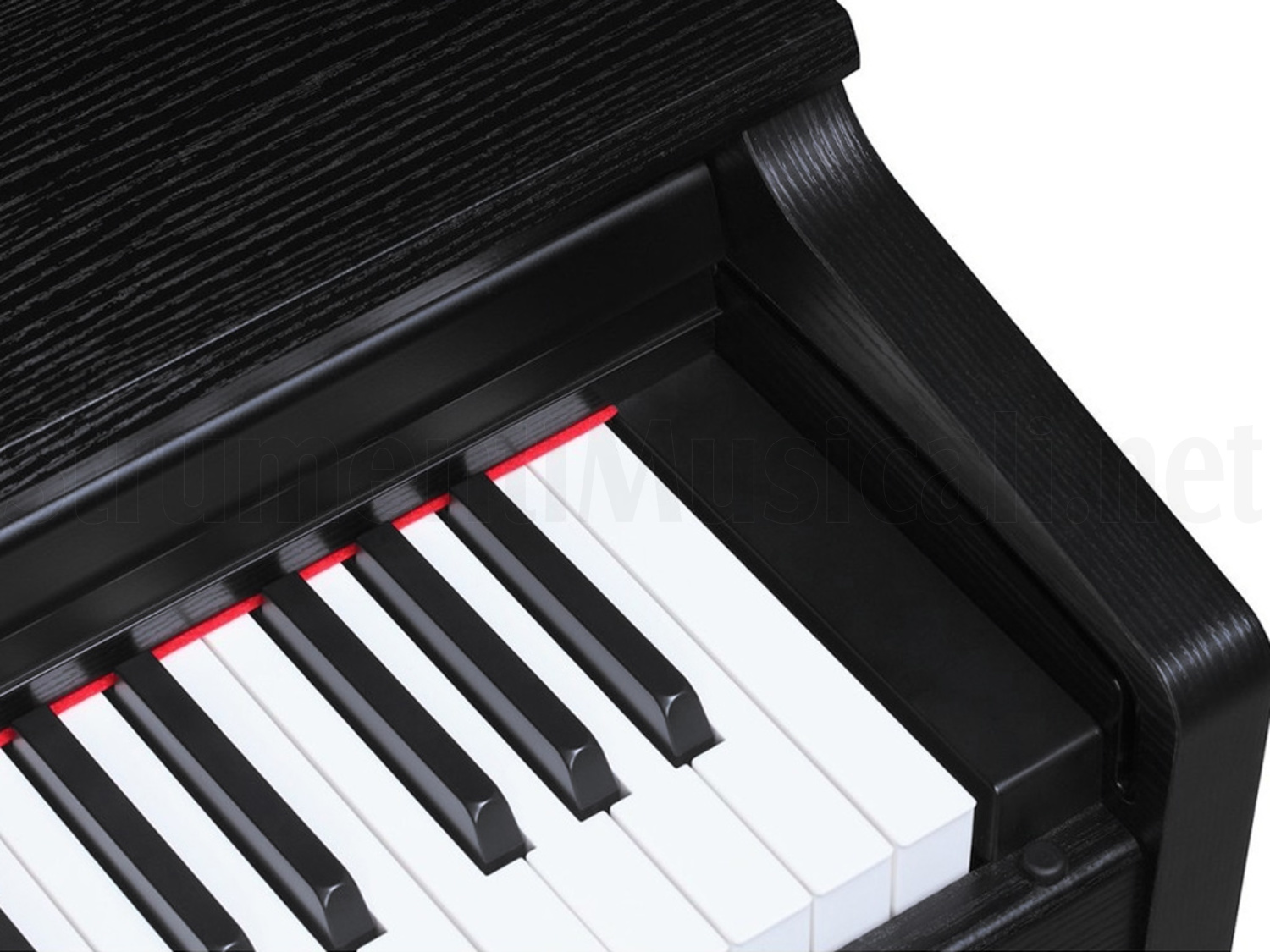 MEDELI UP81-BK | Strumenti Musicali .net