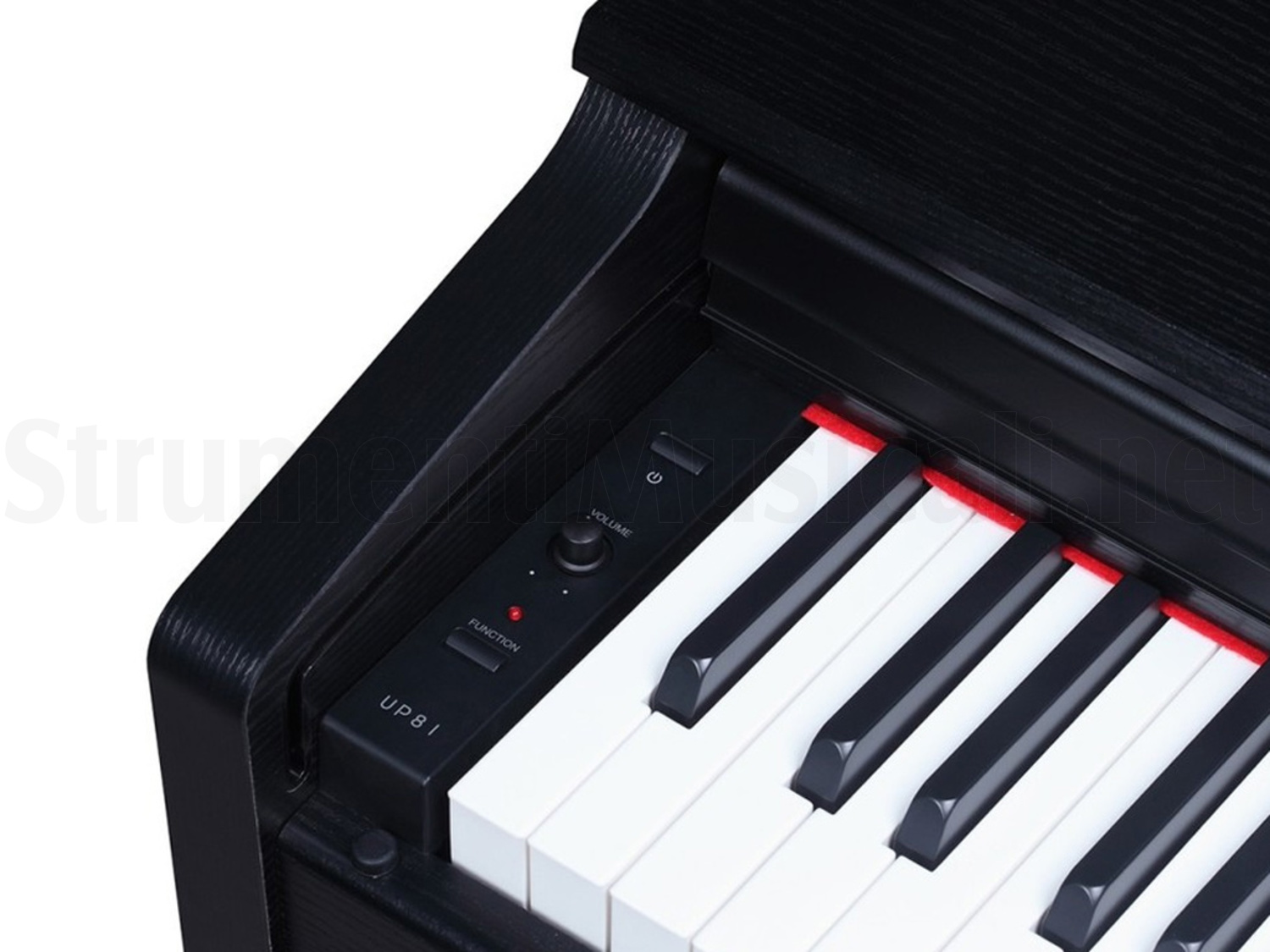 MEDELI UP81-BK | Strumenti Musicali .net