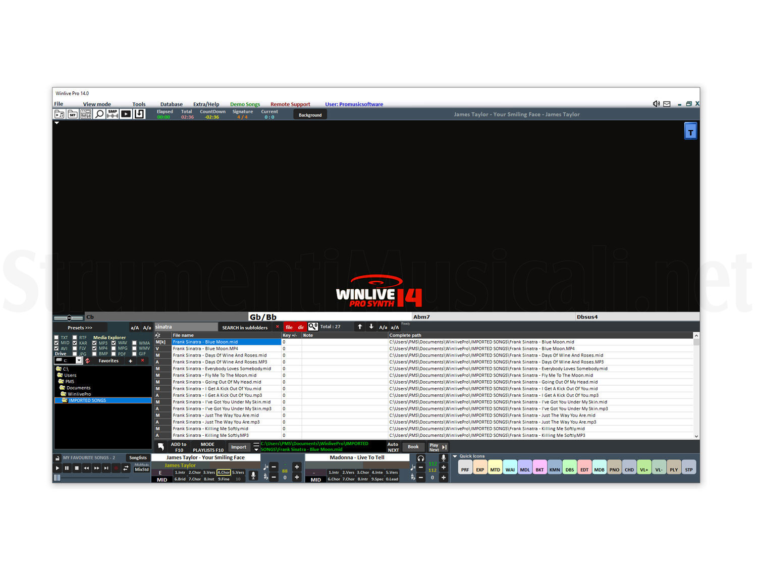 WINLIVE Pro Synth 14 | Strumenti Musicali .net