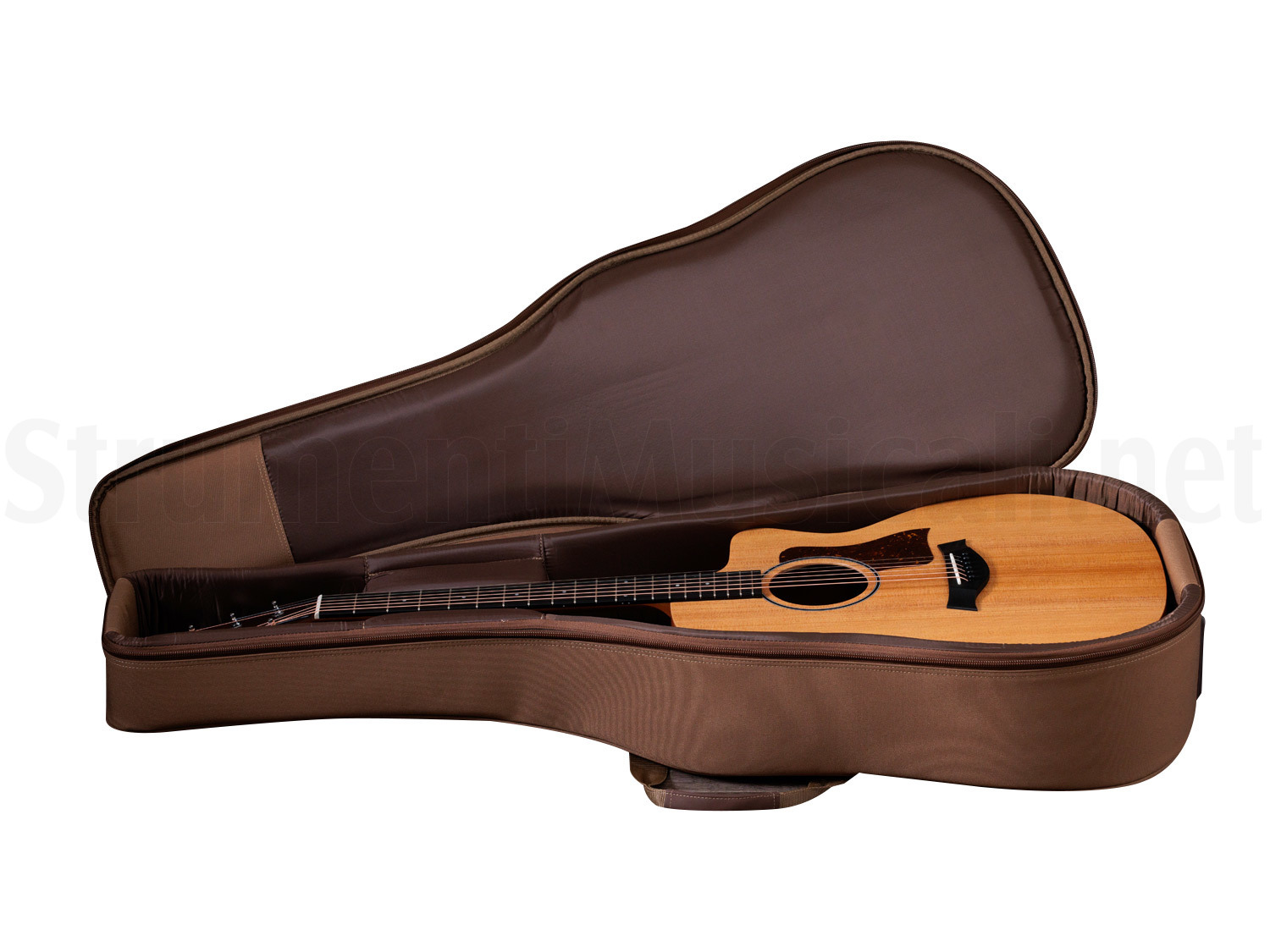 TAYLOR 14ce | Strumenti Musicali .net