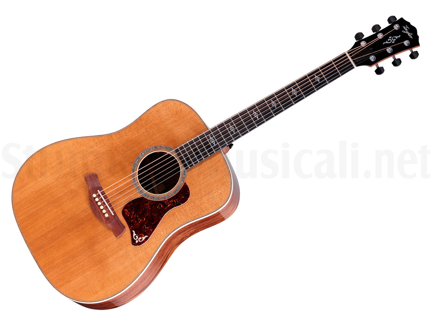 TAYLOR Gold Label 810e | Strumenti Musicali .net