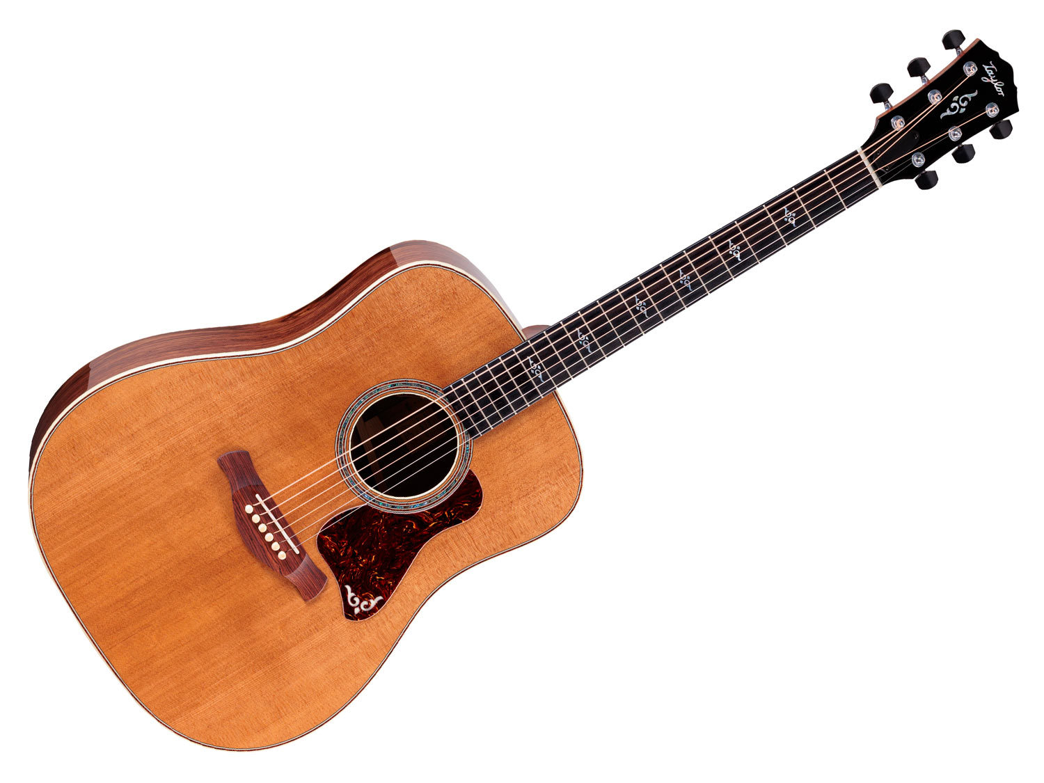 TAYLOR Gold Label 810e | Strumenti Musicali .net