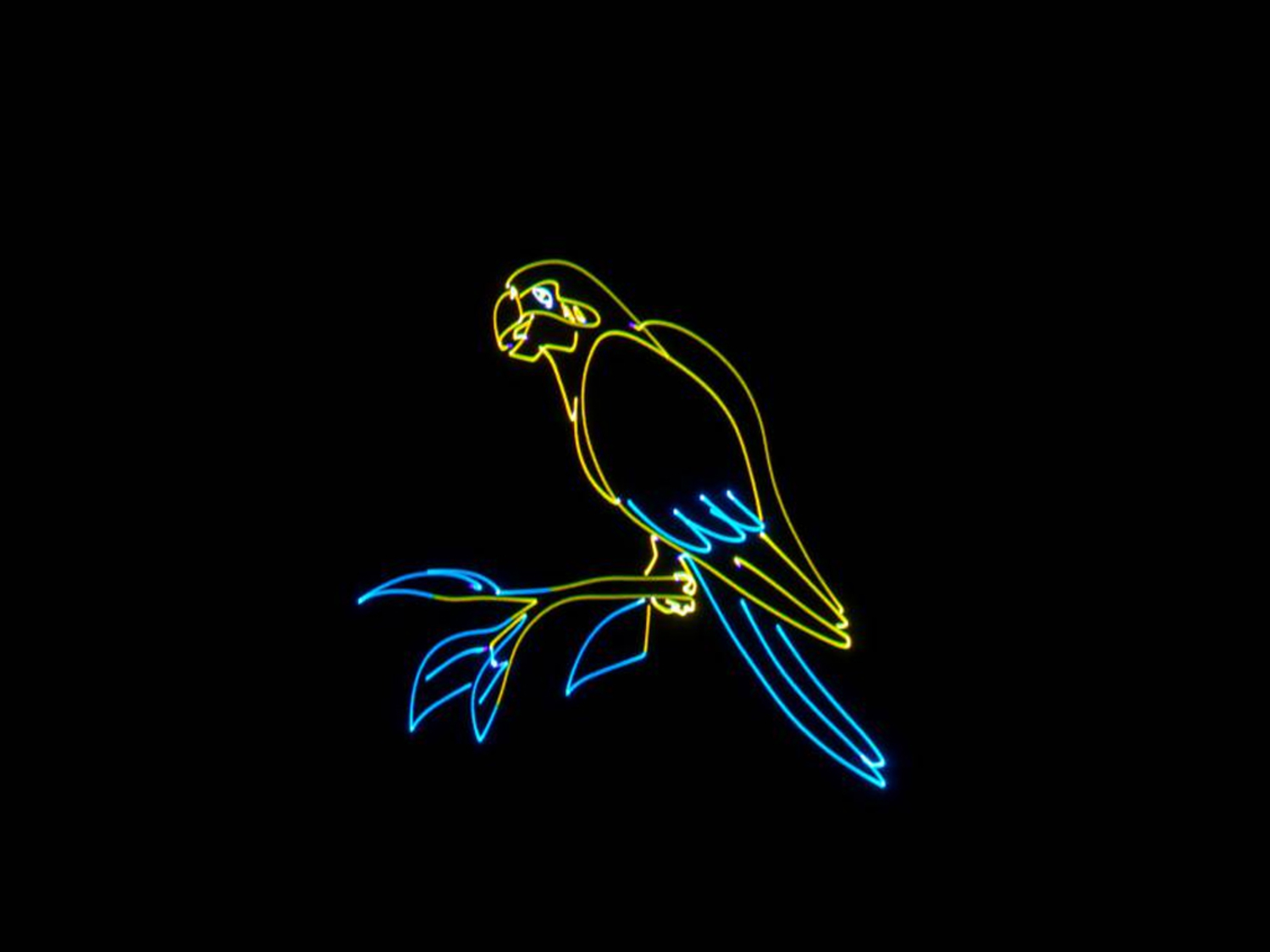 LASERWORLD CUBE 7 | Strumenti Musicali .net