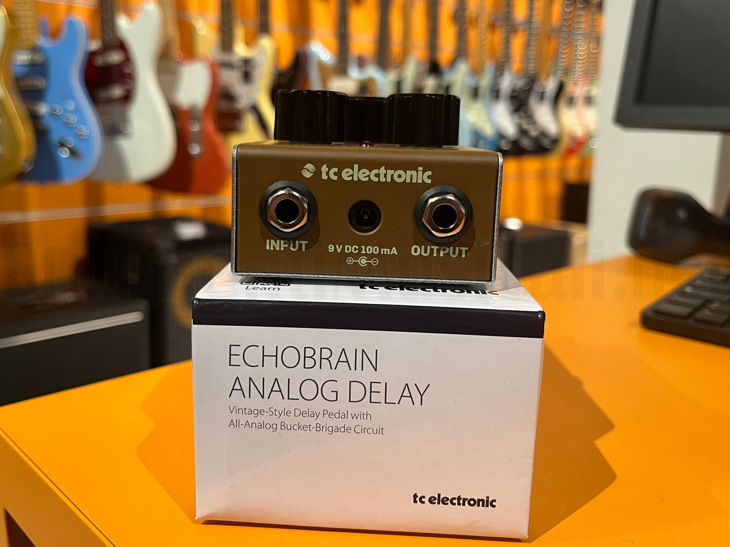 TC ELECTRONIC Echobrain Analog Delay Usato a Roma e Milano