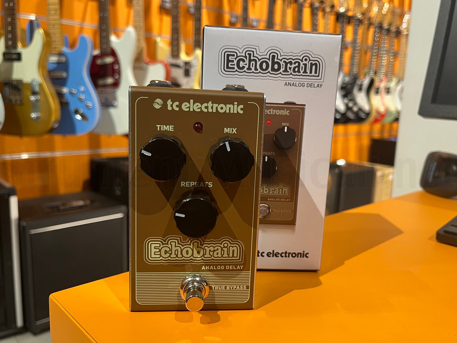 TC ELECTRONIC Echobrain Analog Delay Usato a Roma e Milano